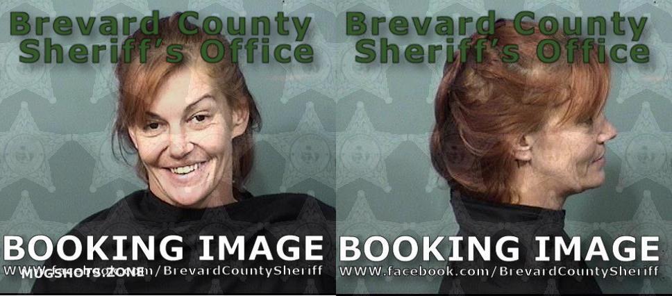 BLANTON PATRICIA ANN 06/11/2024 - Brevard County Mugshots Zone