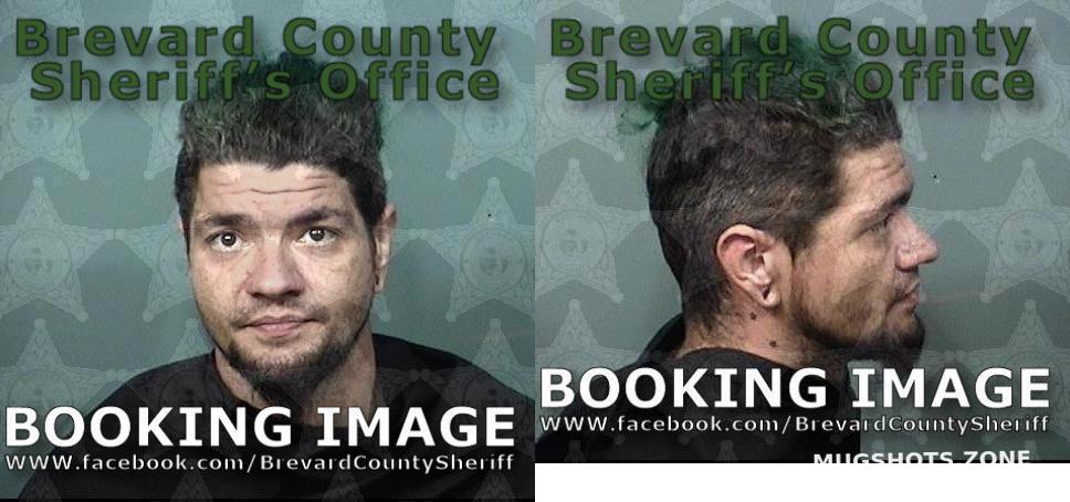HARDENBERGH THOMAS A 06/17/2024 - Brevard County Mugshots Zone