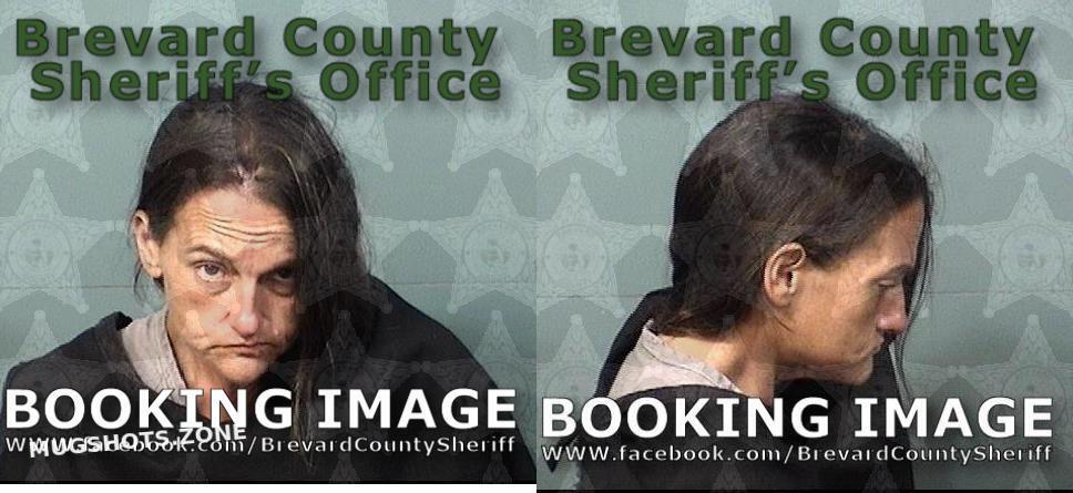 GOODMAN CARRIE LYON 06/26/2024 - Brevard County Mugshots Zone
