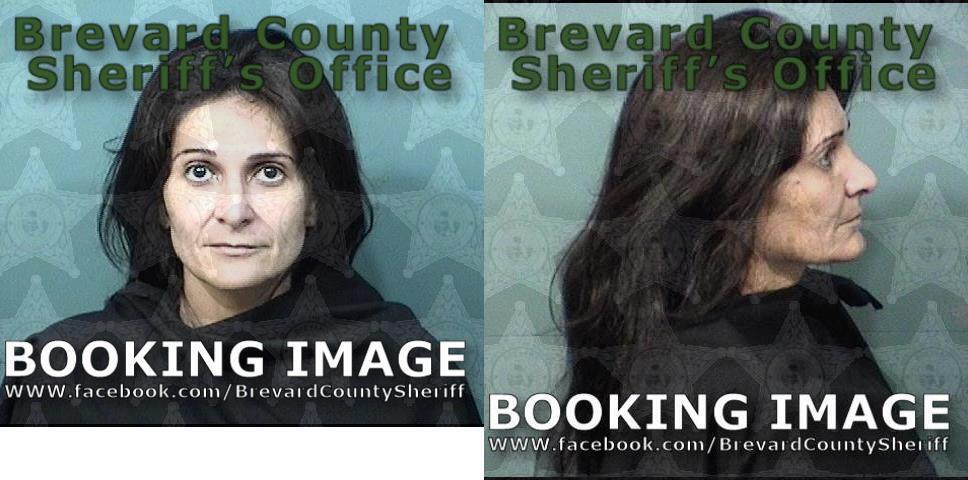 GHOVANLOO GOLNAR 07/02/2024 - Brevard County Mugshots Zone