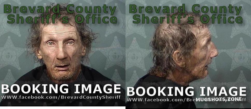 LUKE STEVEN MARTIN 07/05/2024 - Brevard County Mugshots Zone