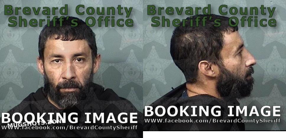 NEGRON-GONZALEZ LUIS ANGEL 07/09/2024 - Brevard County Mugshots Zone