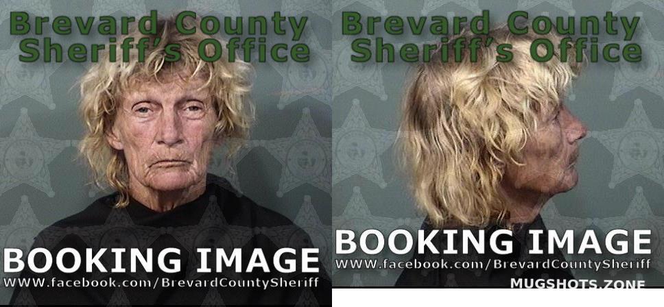 SINGLETON-HARRIS PAULA MARIE 07/26/2024 - Brevard County Mugshots Zone