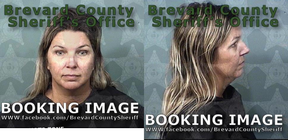 WHITSITT LINDSEY ELIZABETH 08/05/2024 - Brevard County Mugshots Zone