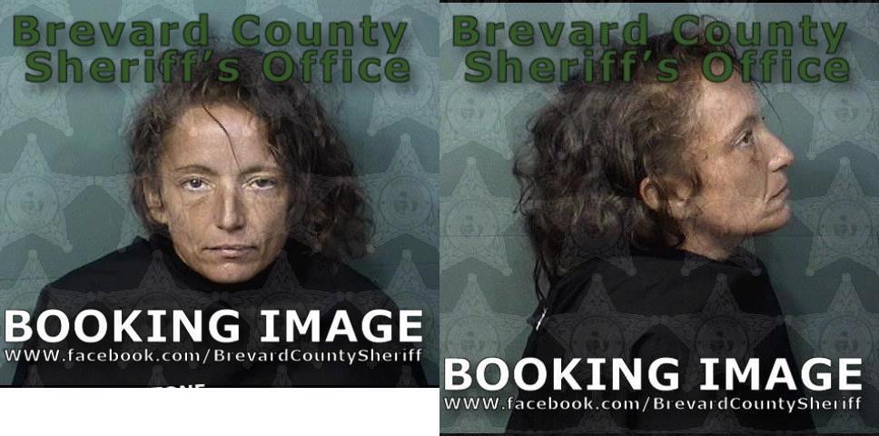LANGLEY MISTY DAWN 08/11/2024 - Brevard County Mugshots Zone