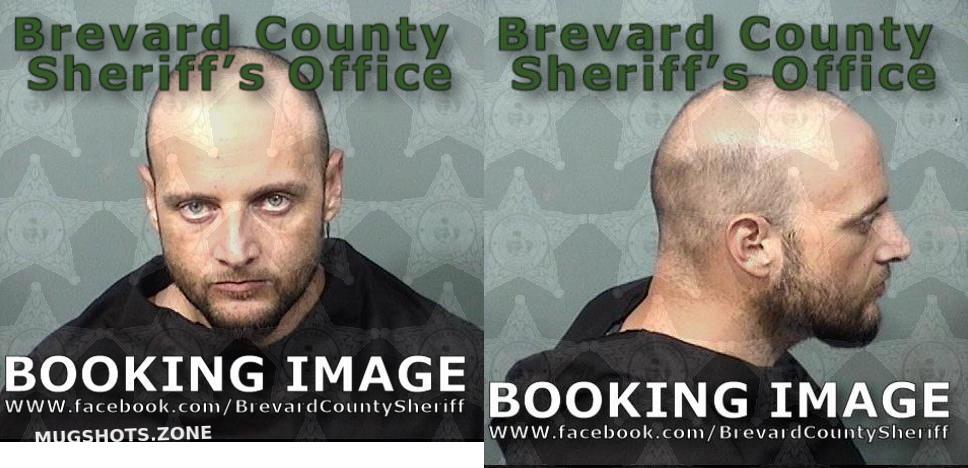 ALLEN SHANE ROBERT 08/17/2024 - Brevard County Mugshots Zone