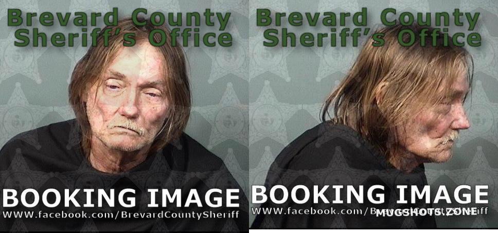 BRANTLEY MARK SESLER 08/23/2024 - Brevard County Mugshots Zone