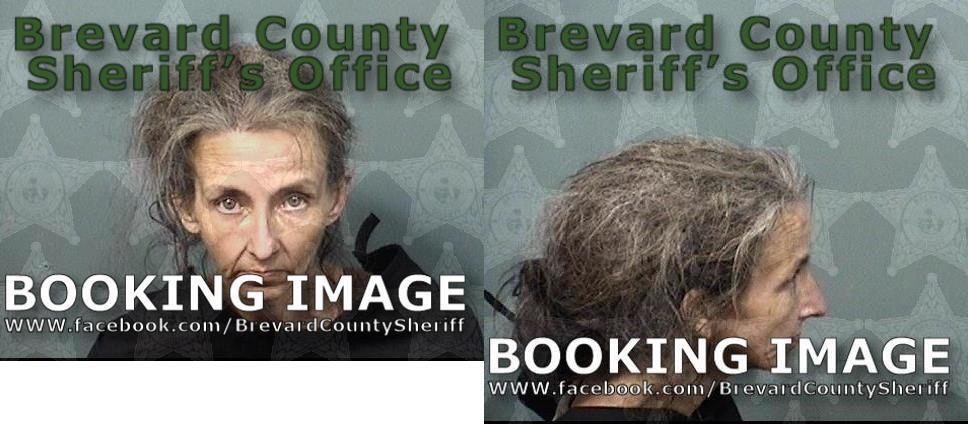 COLLINS TENNILLE M 08/29/2024 - Brevard County Mugshots Zone