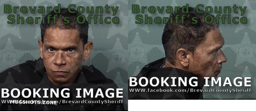 MIRANDA RANDALL 09/11/2024 - Brevard County Mugshots Zone