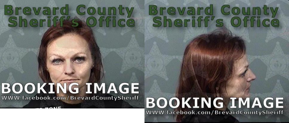 FOWLER DESIREE RENEE 09/15/2024 - Brevard County Mugshots Zone