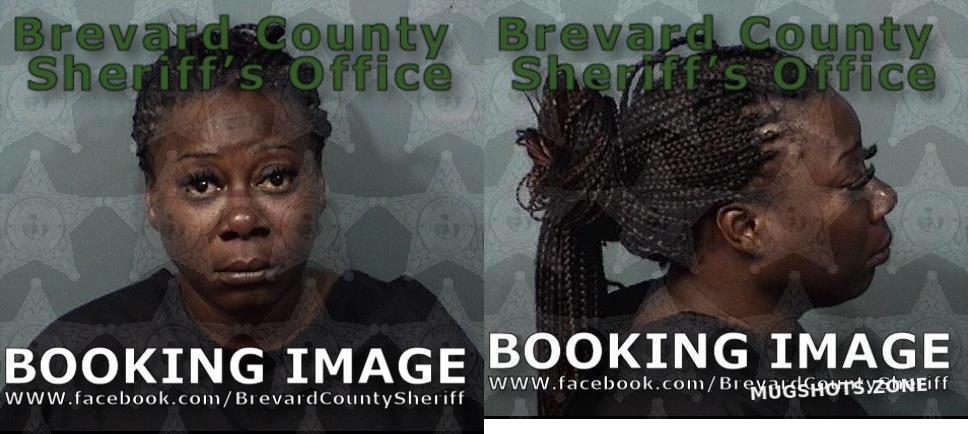 RENFROE TONI LYNETTE 09/16/2024 - Brevard County Mugshots Zone