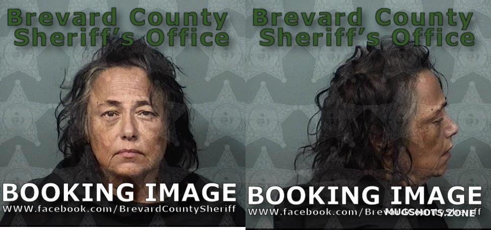 GUILLORY ROBIN MARIE 09/23/2024 - Brevard County Mugshots Zone
