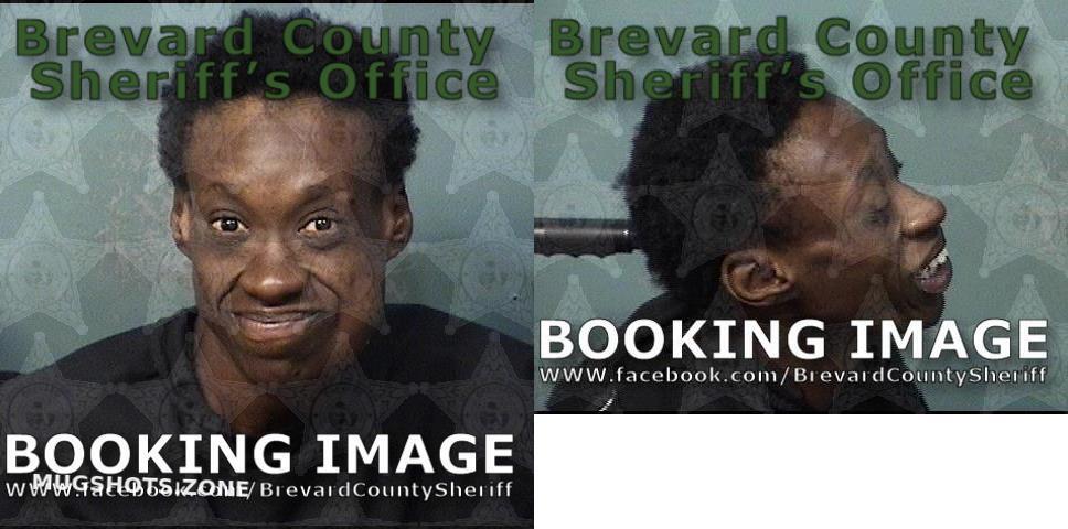 COOPER JOY JANELLA 09/25/2024 - Brevard County Mugshots Zone COOPER JOY JANELLA 09/25/2024 - Brevard County Mugshots Zone