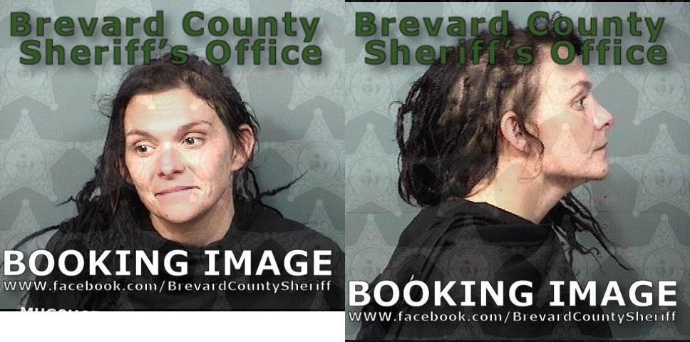 LAPKA TONYA 09/28/2024 - Brevard County Mugshots Zone