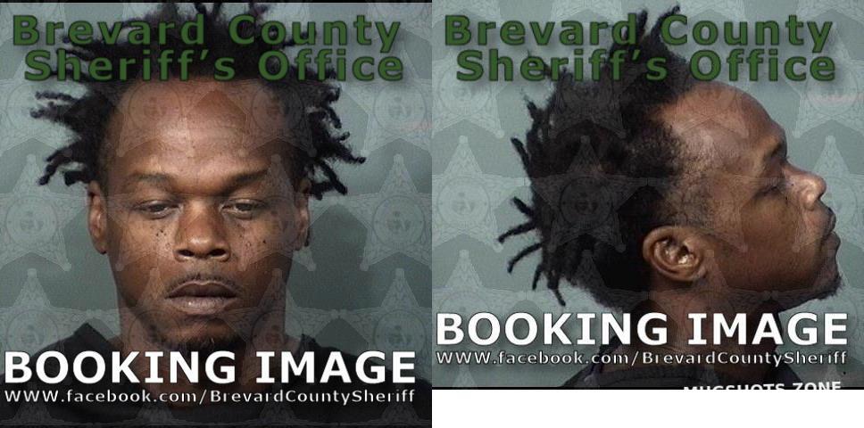 HENRY MICHAEL J 10/17/2024 - Brevard County Mugshots Zone