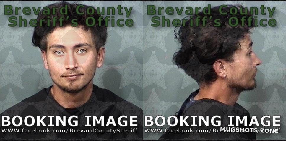 JOHNSON TYLER BENJAMIN 10/19/2024 - Brevard County Mugshots Zone