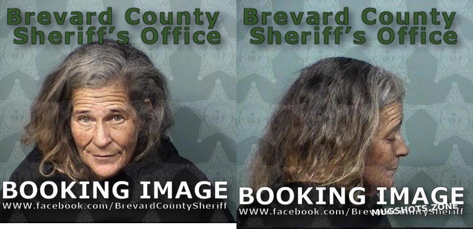NOWLIN KIMBERLY KATHERINE 10/19/2024 - Brevard County Mugshots Zone