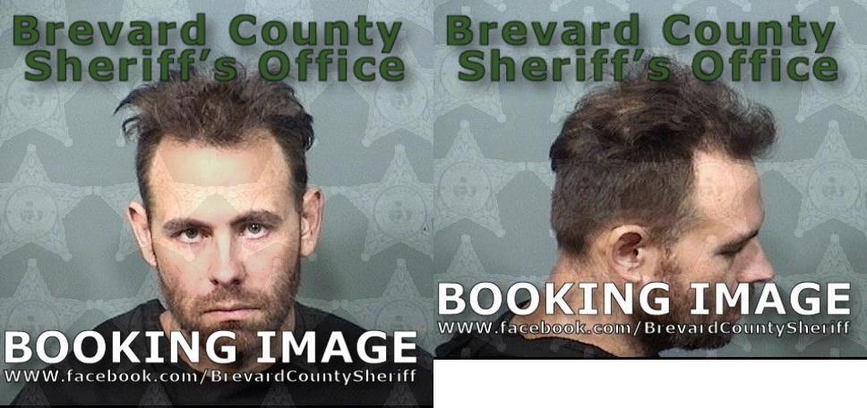 CLINE SEAN MICHAEL 10/19/2024 - Brevard County Mugshots Zone