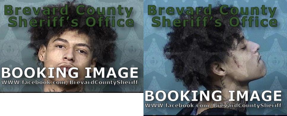 WELCH TYLER ADDISON 10/23/2024 - Brevard County Mugshots Zone