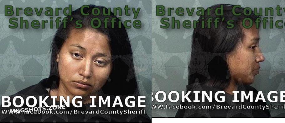GONZALEZ EDITH ARASELI 10/31/2024 - Brevard County Mugshots Zone