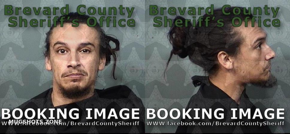 WILLIAMS RICHARD ALEXANDER 11/01/2024 - Brevard County Mugshots Zone