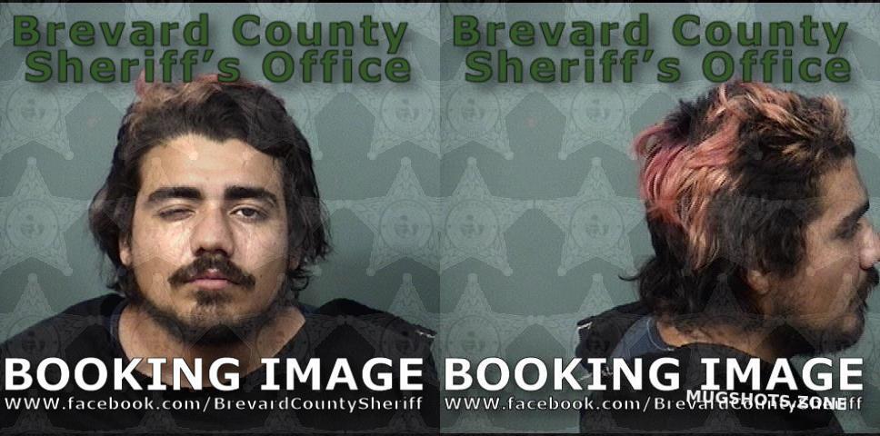 LANDEROS BENJAMIN JODY 11/13/2024 - Brevard County Mugshots Zone
