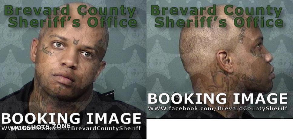 MITCHELL CORWIN SCOTT 11/13/2024 - Brevard County Mugshots Zone