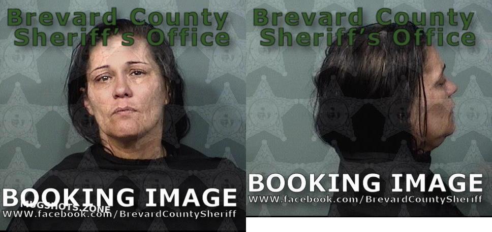 SKINNER AMY RENEE 11/16/2024 - Brevard County Mugshots Zone