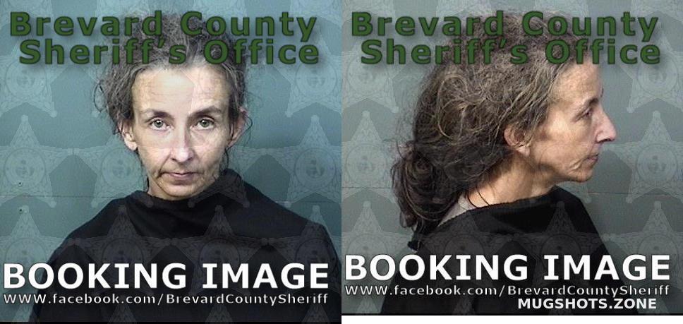 COLLINS TENNILLE M 11/20/2024 - Brevard County Mugshots Zone