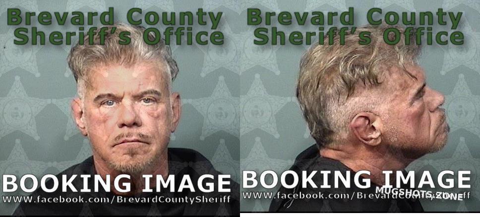 BROWN DAVID 11/20/2024 - Brevard County Mugshots Zone