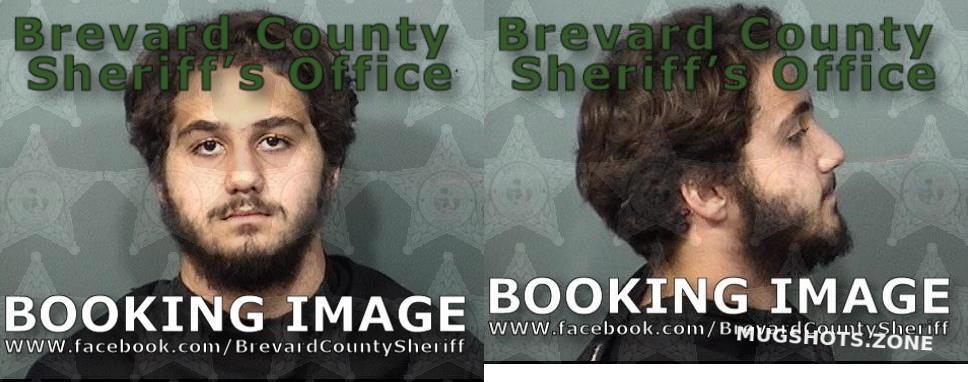 HINTZ LOGAN TYLER 11/21/2024 - Brevard County Mugshots Zone