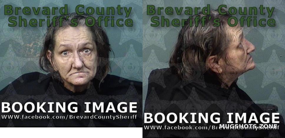 VON BRUNT CHERYL ANNE 11/21/2024 - Brevard County Mugshots Zone