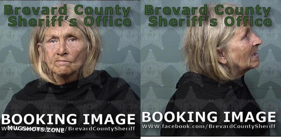 KEAN ROBIN GAIL 11/26/2024 - Brevard County Mugshots Zone