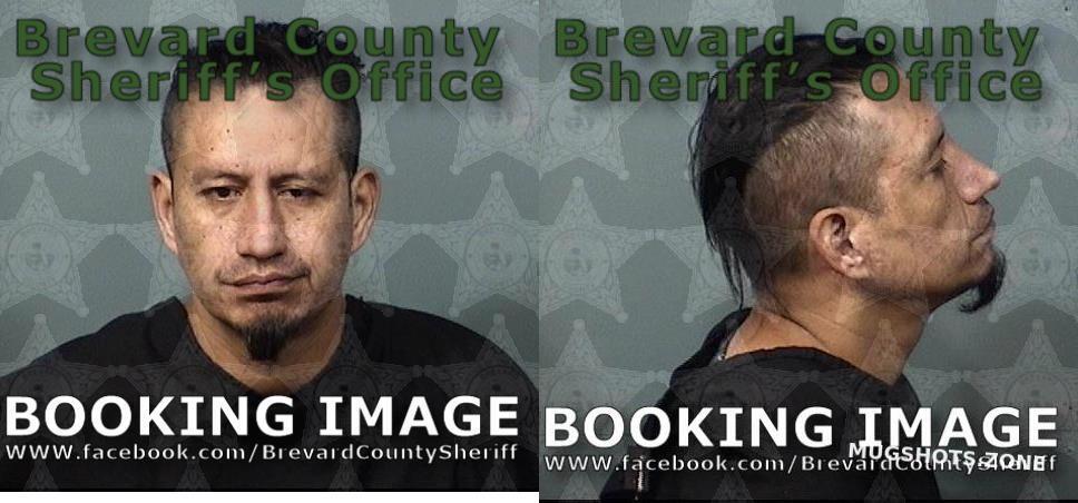 BAUERMANN ERIC FRED 11/26/2024 - Brevard County Mugshots Zone