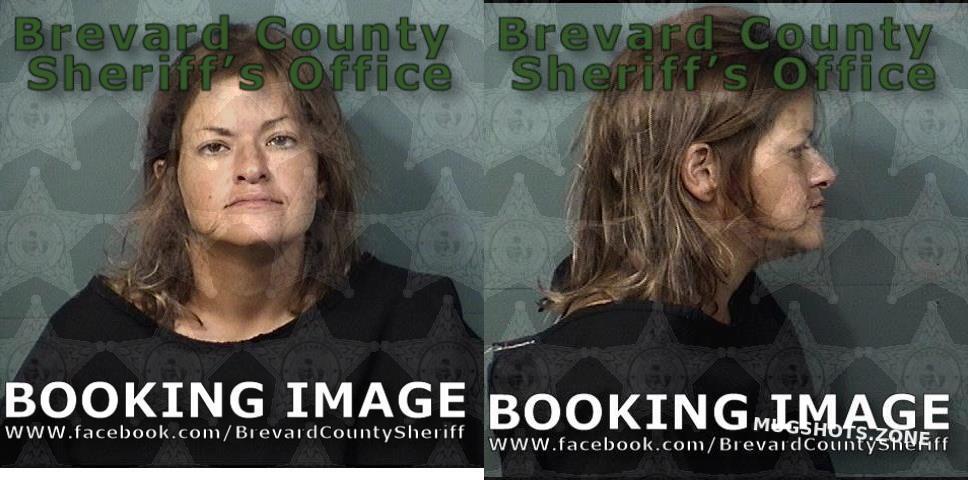 COLLAR STACEY RADIN 11/27/2024 - Brevard County Mugshots Zone