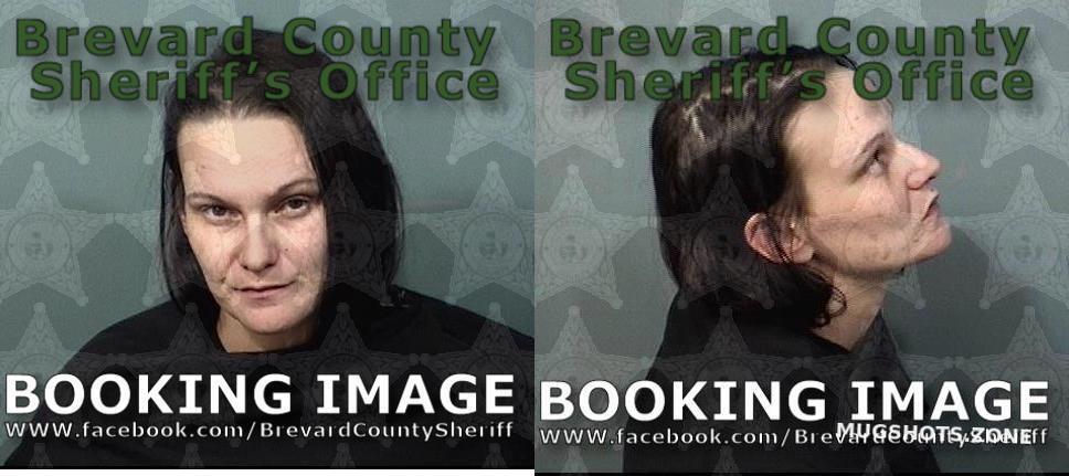 HIGGINS KATE PHYLLIS 11/30/2024 - Brevard County Mugshots Zone