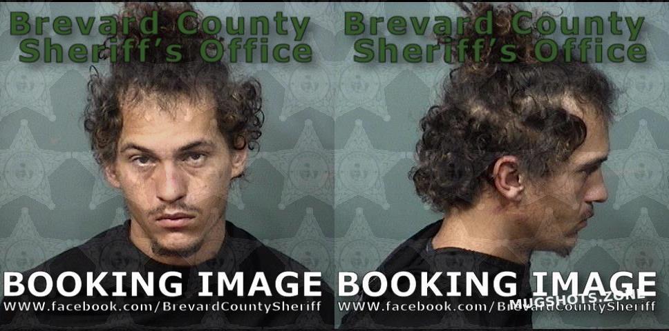 BROCK GAVIN SCOTT 12/08/2024 - Brevard County Mugshots Zone