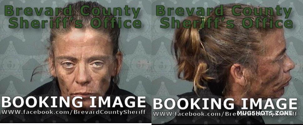 SHANNON KELLEY DIANE 12/17/2024 - Brevard County Mugshots Zone SHANNON KELLEY DIANE 12/17/2024 - Brevard County Mugshots Zone