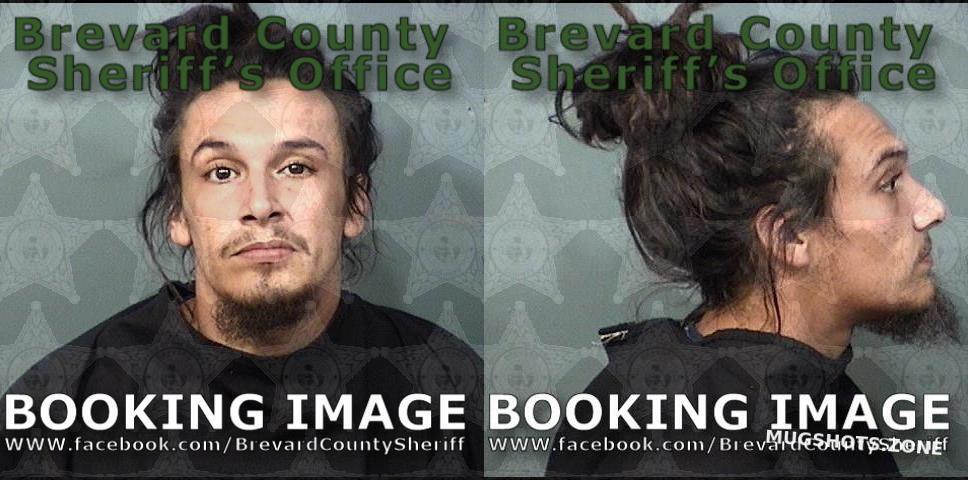 WILLIAMS RICHARD ALEXANDER 12/19/2024 - Brevard County Mugshots Zone
