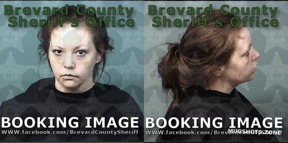 NALLY ALEXA MAE 12/20/2024 - Brevard County Mugshots Zone