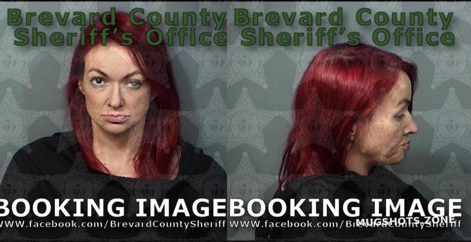 PENDLEY MICHELLE RENEE 12/22/2024 - Brevard County Mugshots Zone
