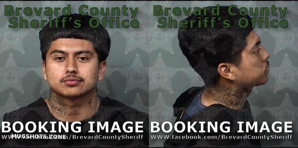REVOLORIO ANTONI SAMAYOA 12/28/2024 - Brevard County Mugshots Zone