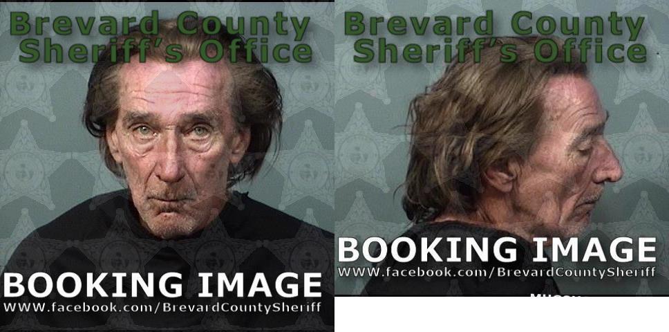 TARALLO FRANK NICHOLAS 01/18/2025 - Brevard County Mugshots Zone