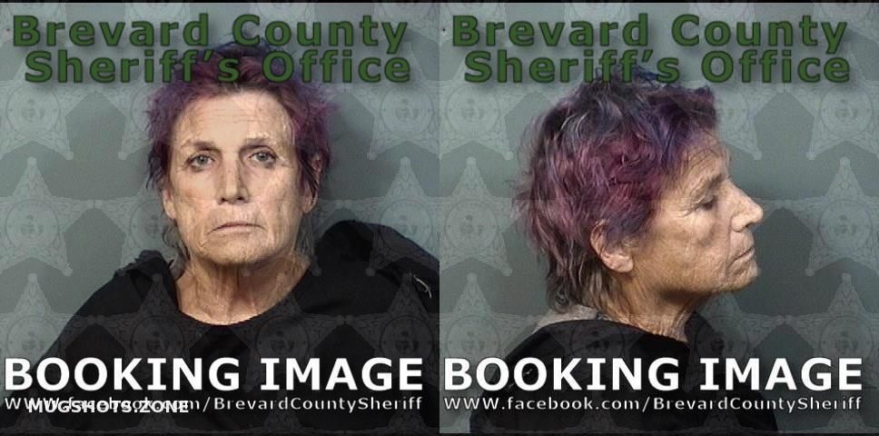 HOLMES ROBIN 01/19/2025 - Brevard County Mugshots Zone
