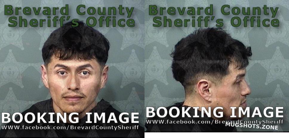 CHAVEZ ESTRELLA BRYAN DANIEL 01/21/2025 - Brevard County Mugshots Zone