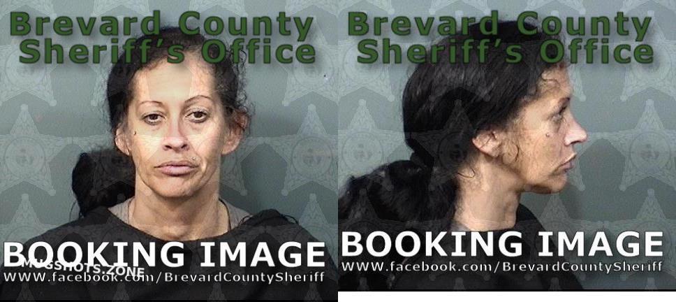 COOK JENNIFER DAWN 01/31/2025 - Brevard County Mugshots Zone
