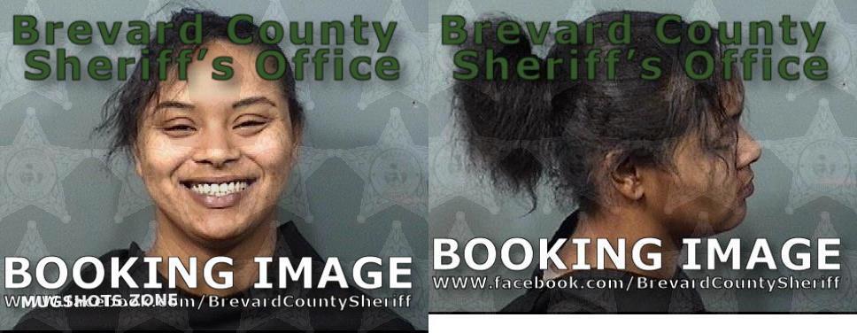 MORGAN DEJA MONET 02/02/2025 - Brevard County Mugshots Zone