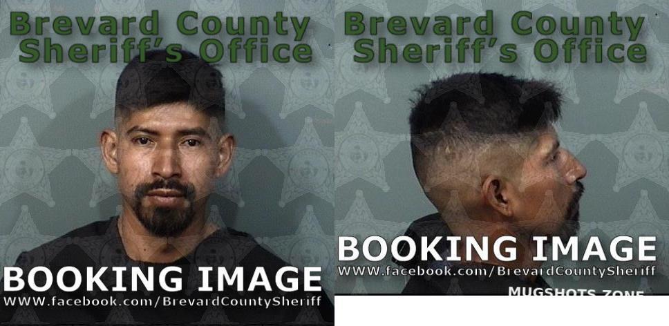 SANCHEZ TREJO GERONIMO 02/09/2025 - Brevard County Mugshots Zone