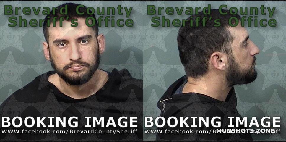 SOLLOWAY DYLAN LOUIS 02/19/2025 - Brevard County Mugshots Zone