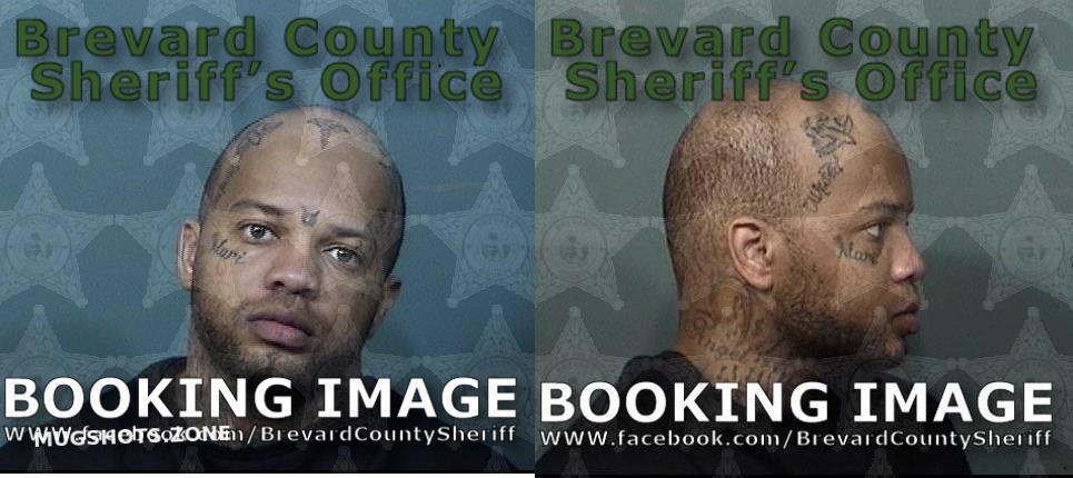 MITCHELL CORWIN SKY 02/27/2025 - Brevard County Mugshots Zone